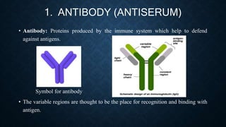 Enzyme Linked Immuno Sorbent Assay | PPT
