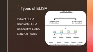 Elisa (and its type) | PPTX