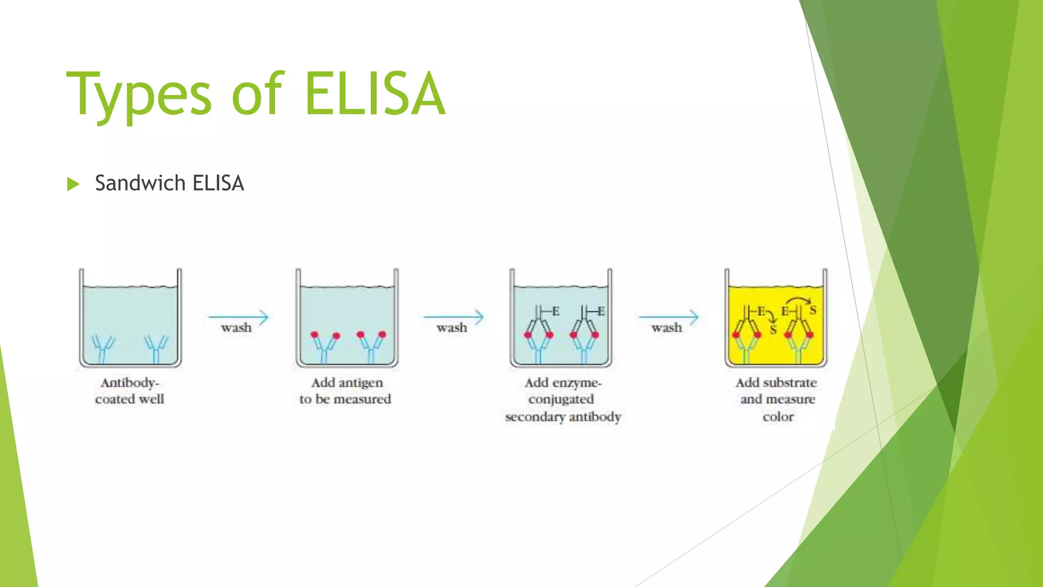 Elisa | PPTX