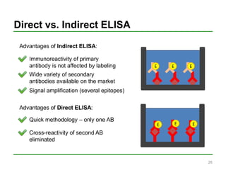 Elisa | PPTX