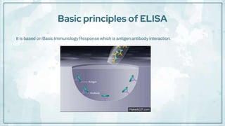 ELISA.pptx