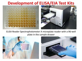 ELISA.pptx