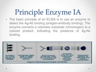 ELISA.pptx