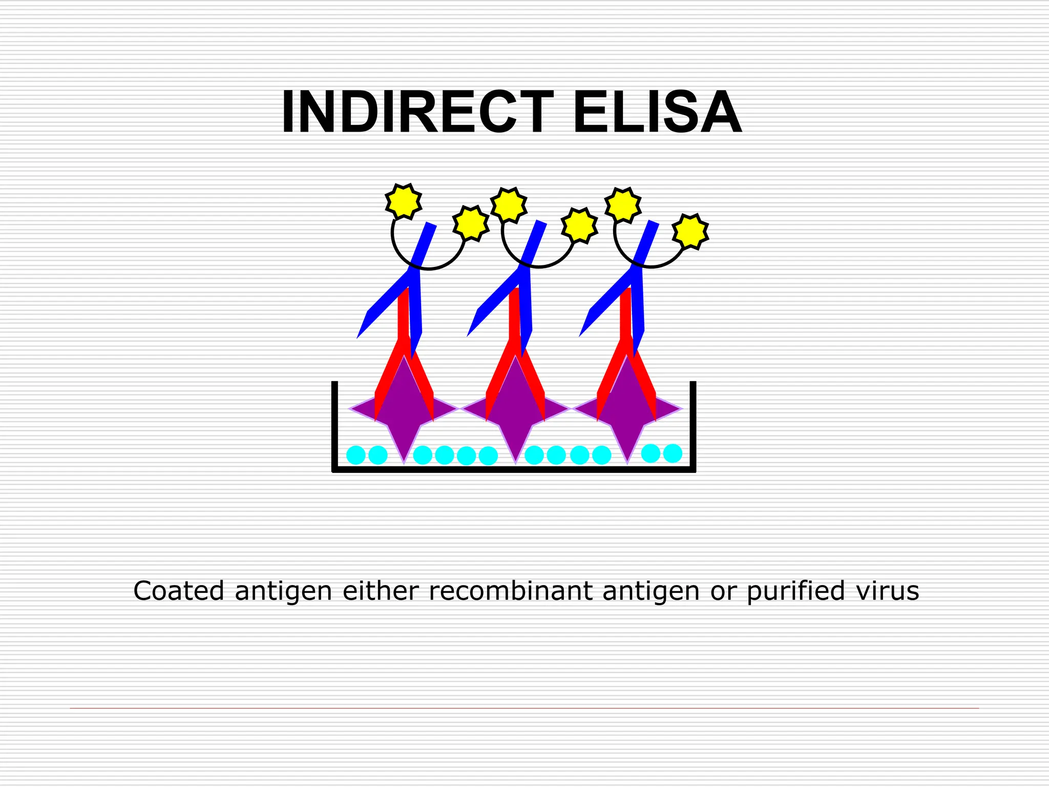 ELISA.ppt