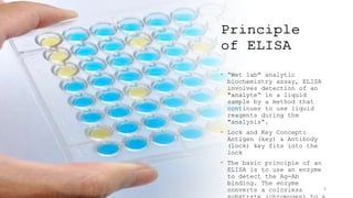 ELISA (ENZYME LINKED IMMUNO SORBENT ENZYME | PPT