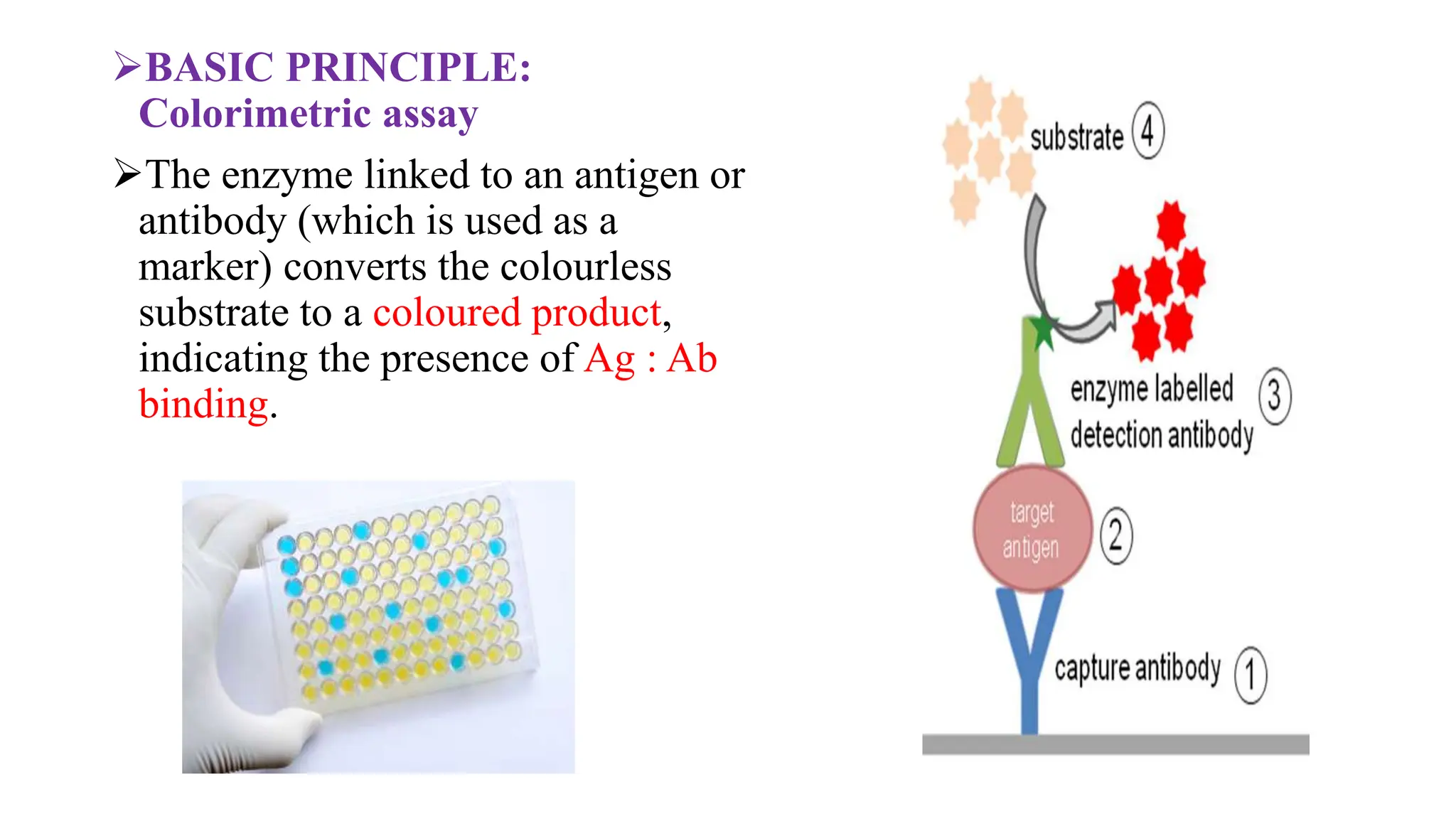 Enzyme linked immuno sorbent assay(ELISA) | PPTX