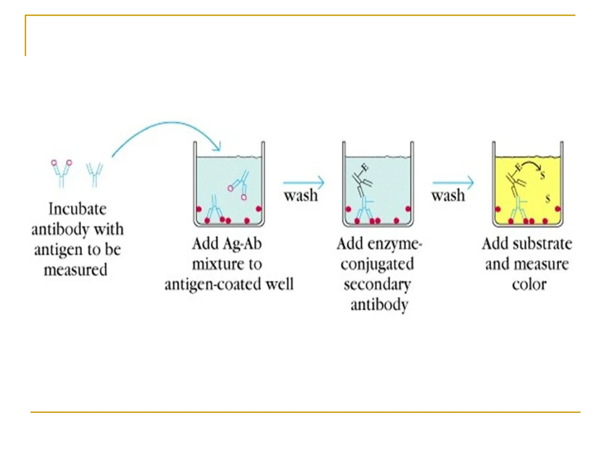 Enzyme linked immunosorbent assay techniques | PPT