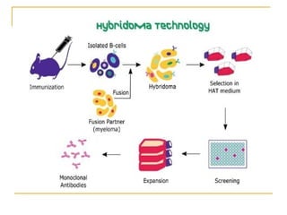 Enzyme linked immunosorbent assay techniques | PPT