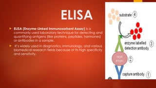 Introduction to biotechnology PowerPoint | PPT