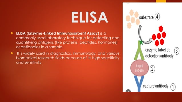 Introduction to biotechnology PowerPoint | PPT