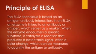 Introduction to biotechnology PowerPoint | PPT