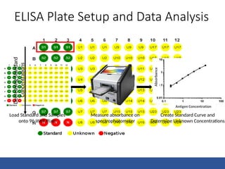 ELISA introduction and types of Elisa along with various method of ...