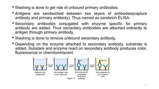 ELISA,types of Elisa,microarray techniques | PPTX