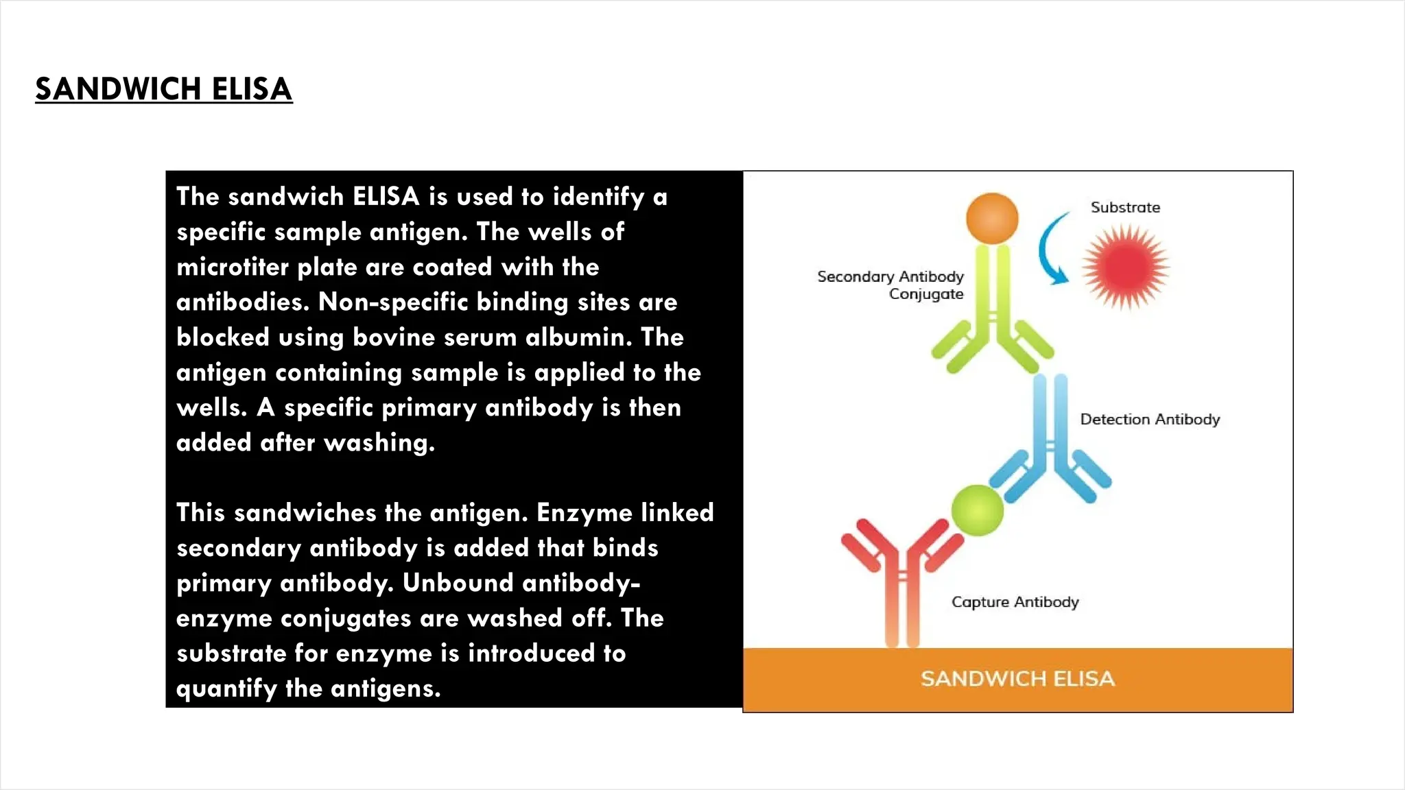 ELISA(Enzyme linked immunosorbent assay) | PPTX