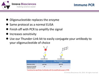 Elisa - an introduction to the basic principles and assay formats ...