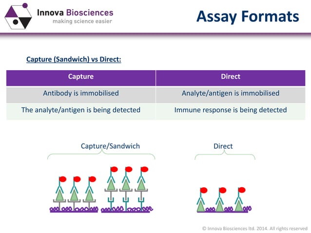 Elisa An Introduction To The Basic Principles And Assay Formats