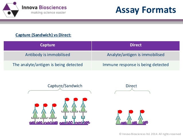 Types Of Elisa Labster Theory