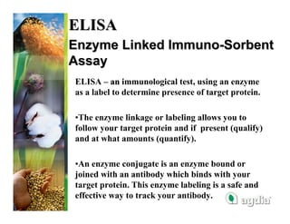 Elisa Basics | PPT