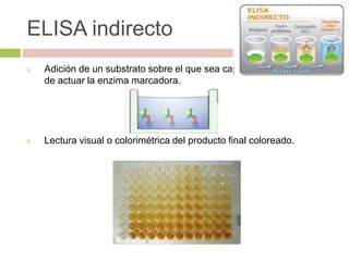 Método ELISA | PPTX