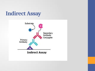 ELISA- ENZYME LINKED IMMUNOSORBENT ASSAY.pptx