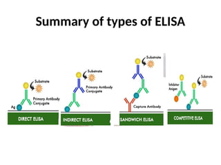 ELISA- ENZYME LINKED IMMUNOSORBENT ASSAY.pptx