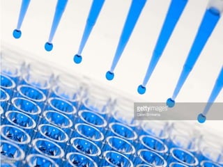 Elisa final | PPTX | Infectious Diseases | Diseases and Conditions