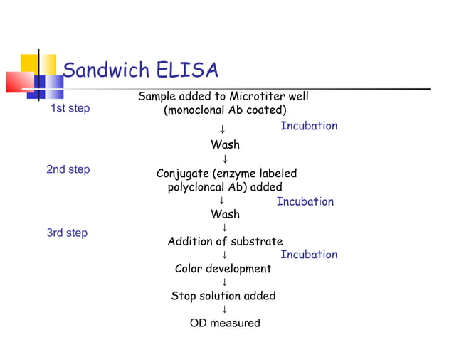 Elisa ppt nitub-02 | PPT