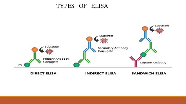 Four Types Of Elisa Assay