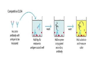 ELISA- Principle, Types and Applications.pptx