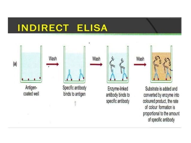 ELISA- Principle, Types and Applications.pptx