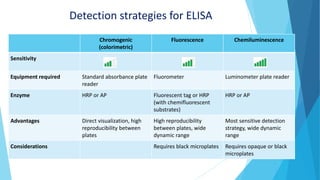 Elisa ria | PPTX