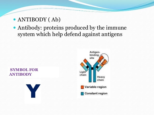 Types Of Elisa Labster Theory