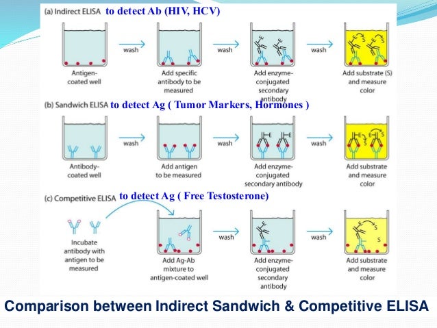 Schematic Presentation Of Basic Types Of Elisa Enzyme
