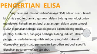 _ELISA-WPS Office.pptx