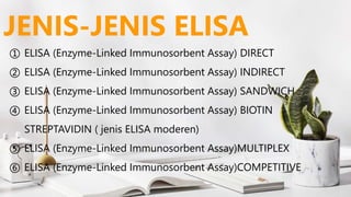 _ELISA-WPS Office.pptx