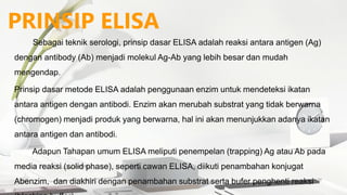 _ELISA-WPS Office.pptx