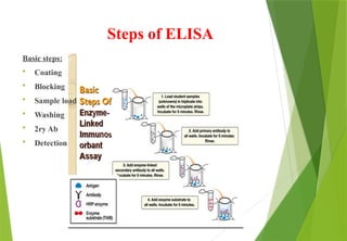 elisa (1) enzyme linked immunosorbant assay.pptx