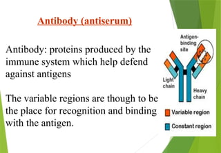 elisa (1) enzyme linked immunosorbant assay.pptx
