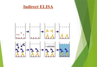 elisa (1) enzyme linked immunosorbant assay.pptx