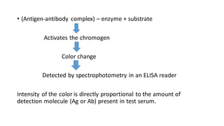 ELISA 1 (1)-2.pdf....................... | PPT