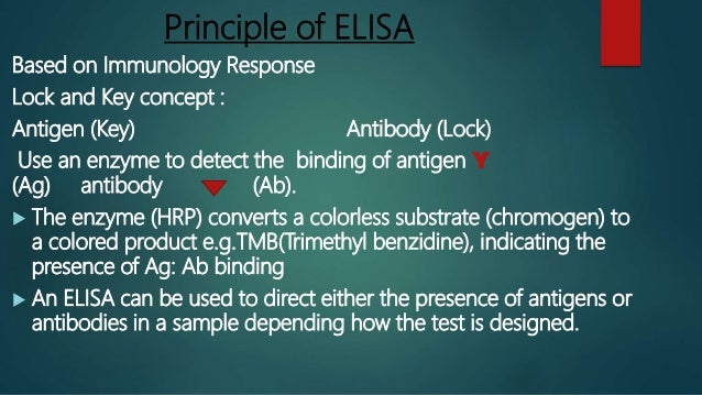 5 Types Of Elisathe Differences And Principle Explained