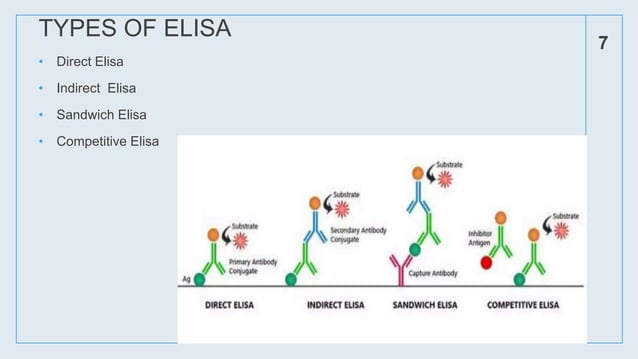 elisa model based on laboratory technique .pptx