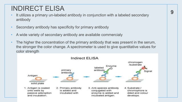 elisa model based on laboratory technique .pptx