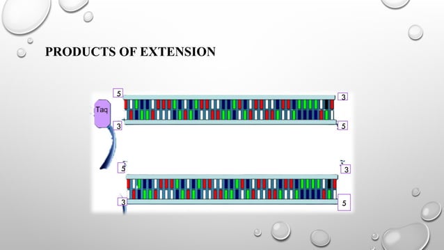 ELISA and PCR - Introduction, procedure, types and application | PPT