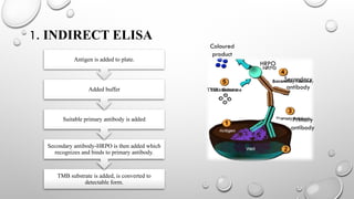ELISA and PCR - Introduction, procedure, types and application | PPTX