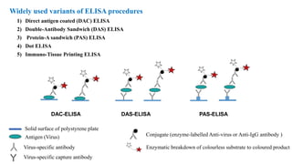 elisa [Autosaved] (2). PPT pathologyyy.. | PPTX