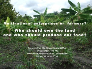 Elisabeth atangana 21 10_2014 | PDF | Agriculture | Industries