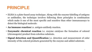 ELISA TEST | PPTX | Chemistry | Science