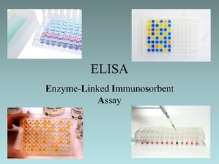 Elisa Class 150629071719-lva1-app6891 | PPT