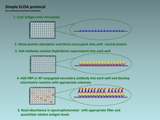 Elisa Class 150629071719-lva1-app6891 | PPT
